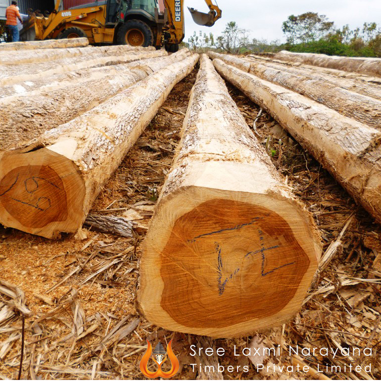 Leading Timber Wood Dealers & Traders In Pollachi | Timer Wood in ...