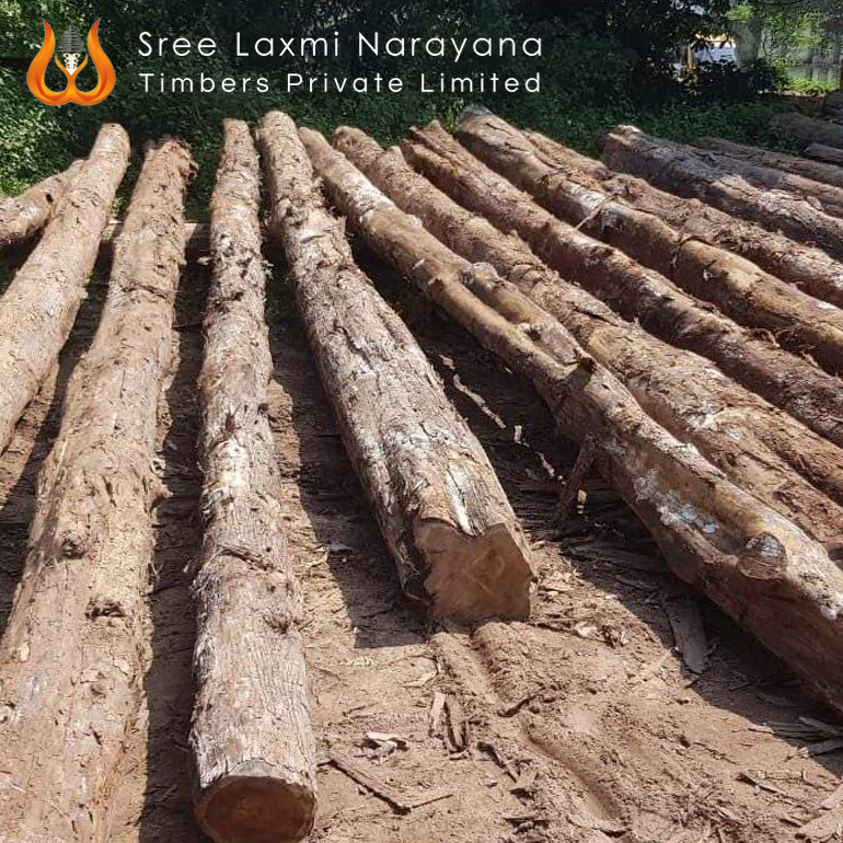 Leading Timber Wood Dealers & Traders In Pollachi | Timer Wood in ...
