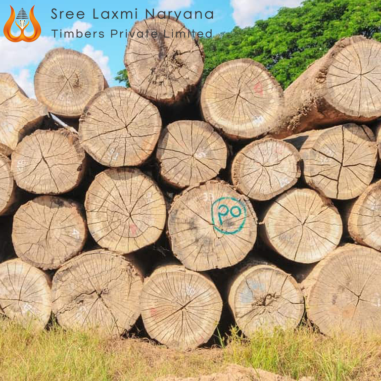 Leading Timber Wood Dealers & Traders In Pollachi | Timer Wood in ...