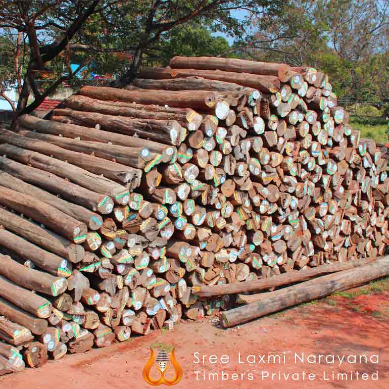 Leading Timber Wood Dealers & Traders In Pollachi | Timer Wood in ...
