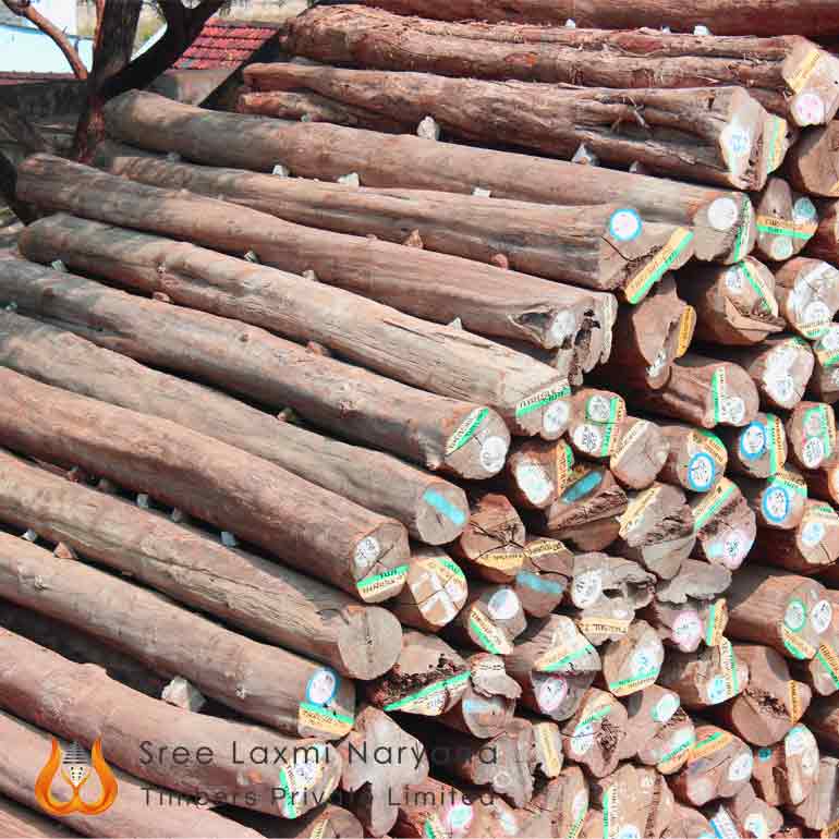 Leading Timber Wood Dealers & Traders In Pollachi | Timer Wood in ...